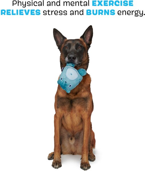 BARK Super Chewer Bear Hugger 2-in-1 Plush Exterior with Hard Core ...