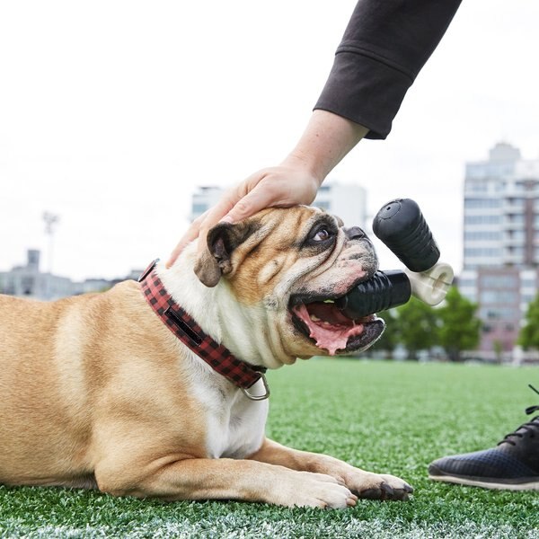 BARK Super Chewer Paw Hand Gripper Rubber for Aggressive Chewers ...