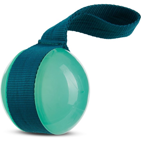 GOUGHNUTS Stick Dog Toy, Orange, Original - Chewy.com