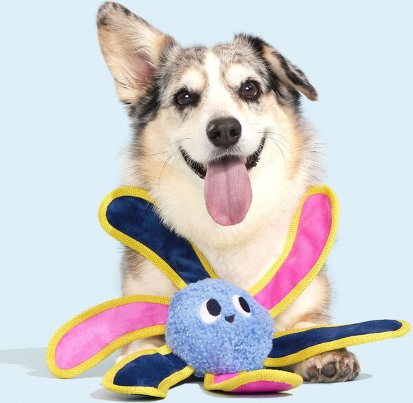 BARK Twirdle Interactive Squeaky Plush Dog Toy - Chewy.com