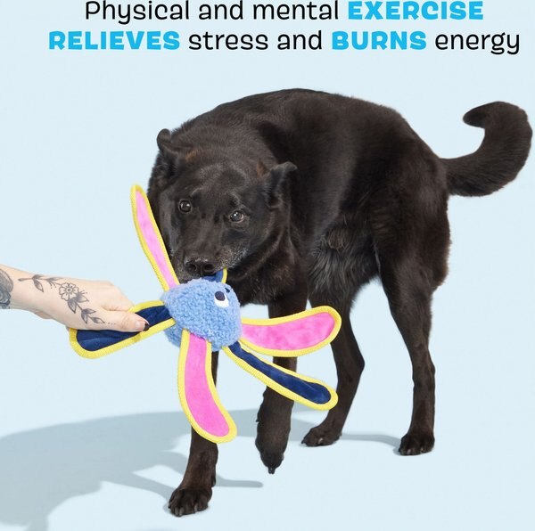 BARK Twirdle Interactive Squeaky Plush Dog Toy - Chewy.com