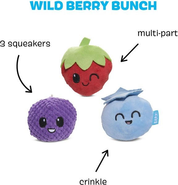 BARK Wild Berry Bunch 3-in-1 Plush Dog Toy - Chewy.com