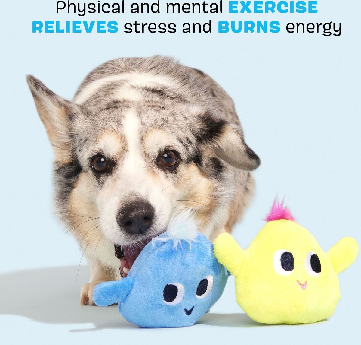 BARK Wobble & Wubble Multi-Part Squeaky Plush Dog Toy, X-Small - Chewy.com