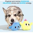 BARK Wobble & Wubble Multi-Part Squeaky Plush Dog Toy, X-Small - Chewy.com