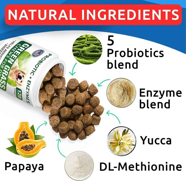 BARK&SPARK Grass Burn Spot Chews for Dogs & Urine Neutralizer & Grass ...