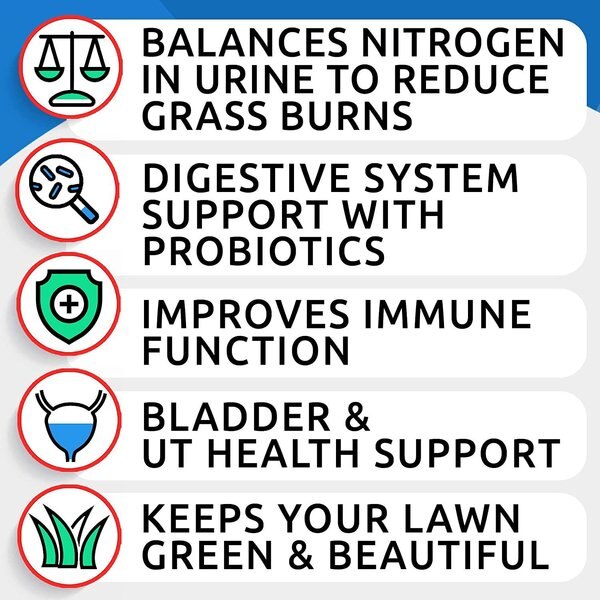 BARK&SPARK Grass Burn Spot Chews for Dogs & Urine Neutralizer & Grass ...