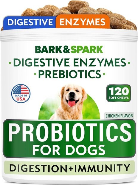Dog Probiotics & Digestive Supplements (Free Shipping) | Chewy