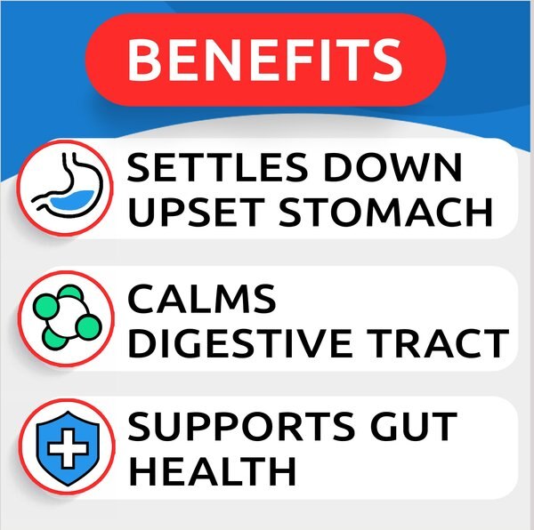 BARK&SPARK Pumpkin Powdered Fiber & Stool Softener Diarrhea ...