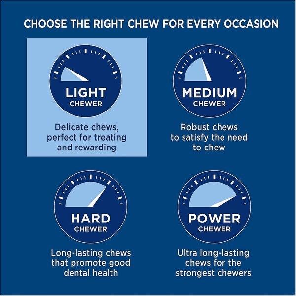 BARKWORTHIES Braided Beef Gullet 6" Dog Treats, 2 count - Chewy.com