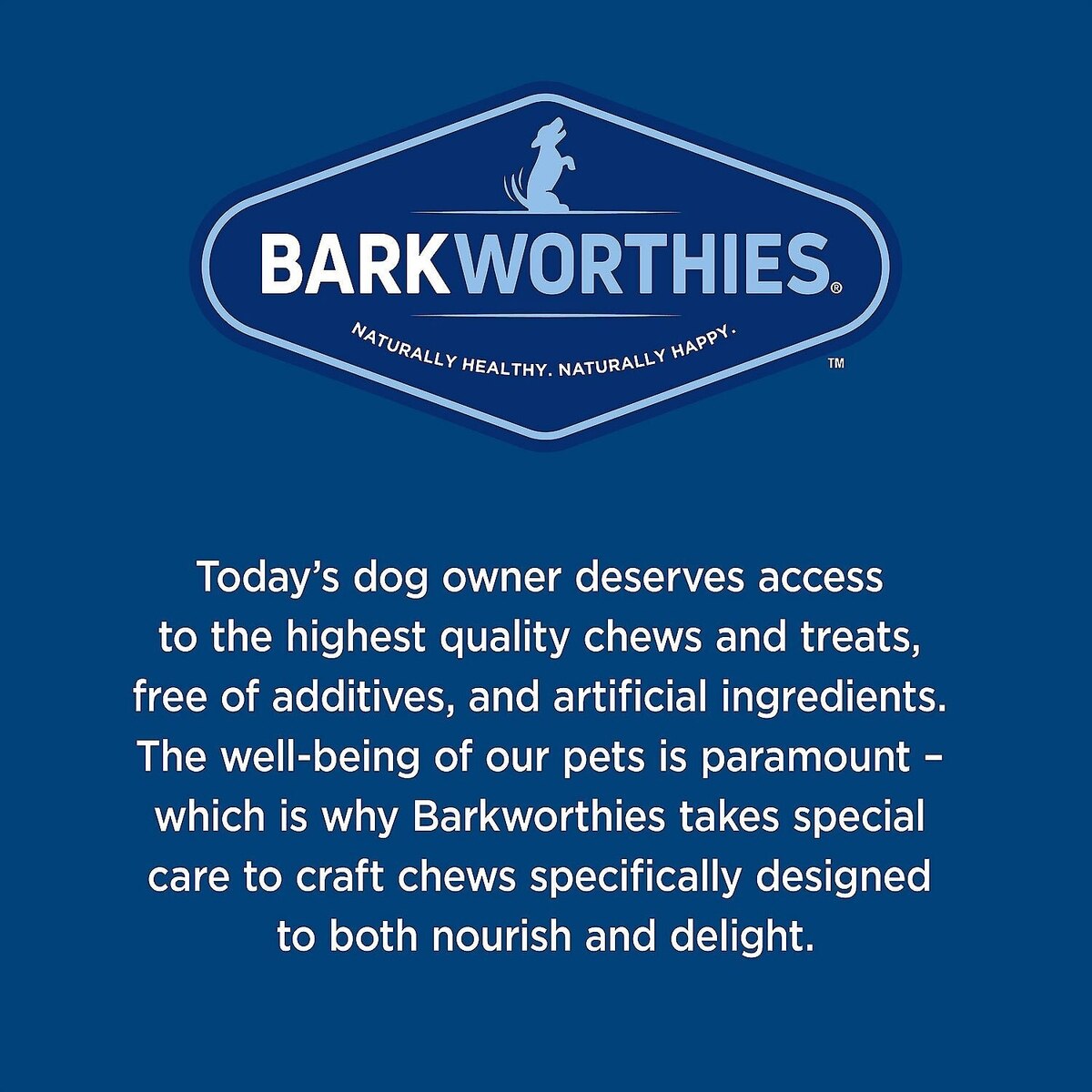 BARKWORTHIES Braided Beef Gullet 6" Dog Treat, 2 count bundle - Chewy.com