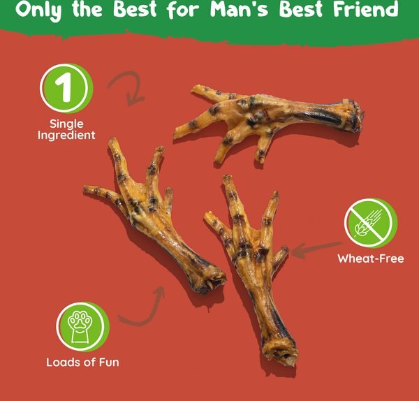 BAXTER BOY Chicken Feet Natural Dog Chew Treats, 20 count - Chewy.com