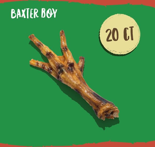 BAXTER BOY Chicken Feet Natural Dog Chew Treats, 20 count - Chewy.com