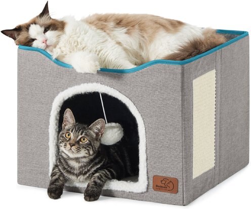 Enclosed & Covered Cat Beds - Low Prices (Free Shipping) | Chewy