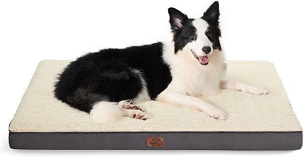 Xxl Dog Crate (Free Shipping) | Chewy