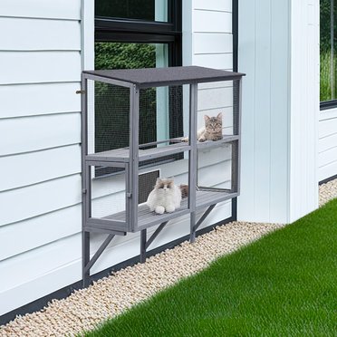 Cat Window Perches: Best Cat Perch Prices (Free Shipping) | Chewy