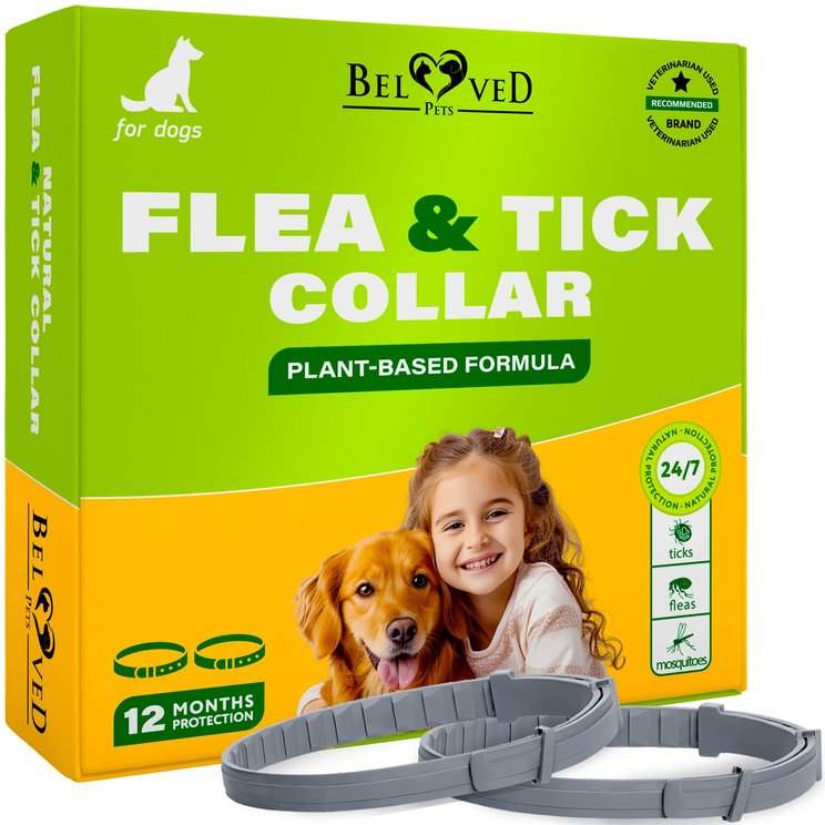 Best Flea Collars for Dogs: Dog Flea & Tick Collars (Free Shipping) | Chewy