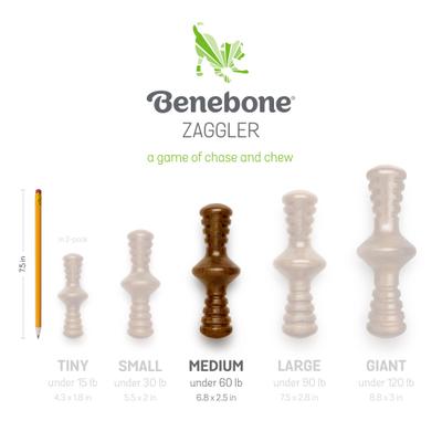 BENEBONE 2-Pack Maplestick Zaggler Dog Chew Toy, Medium - Chewy.com