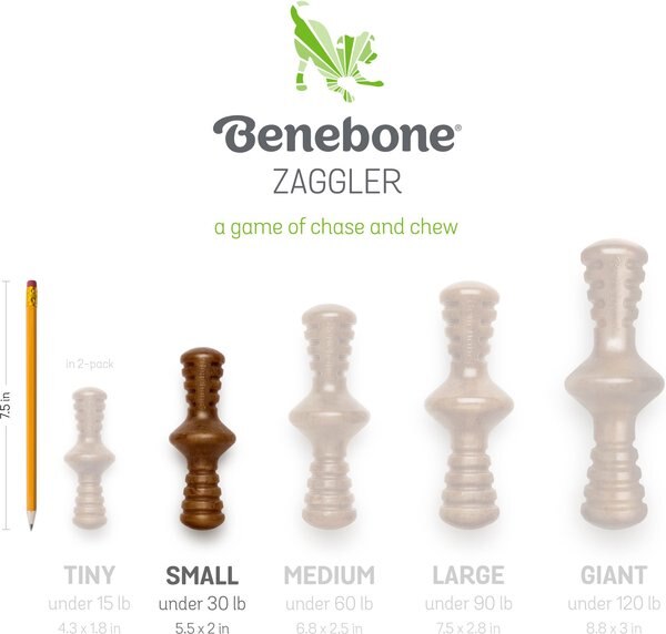 BENEBONE 2-Pack Maplestick Zaggler Dog Chew Toy, Small - Chewy.com