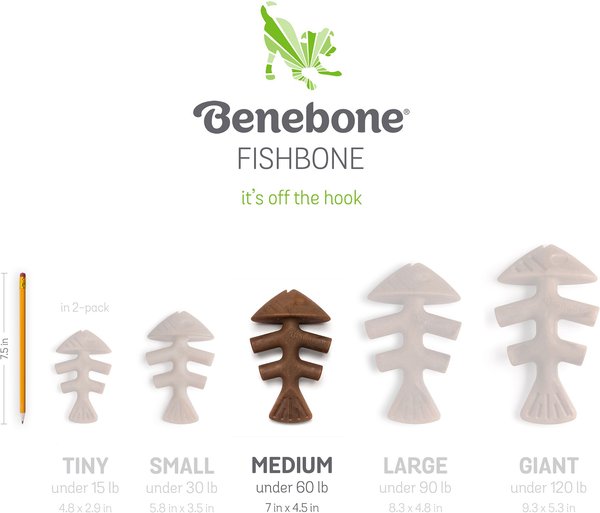 BENEBONE 2-Pack Wishbone Fishbone Dog Chew Toy, Medium - Chewy.com
