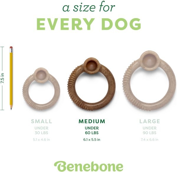BENEBONE Bacon Flavor Ring Tough Dog Chew Toy, Medium - Chewy.com