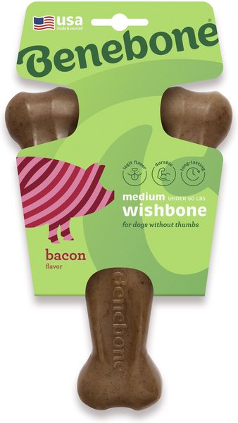 BENEBONE Bacon Flavor Wishbone Tough Dog Chew Toy, Medium - Chewy.com