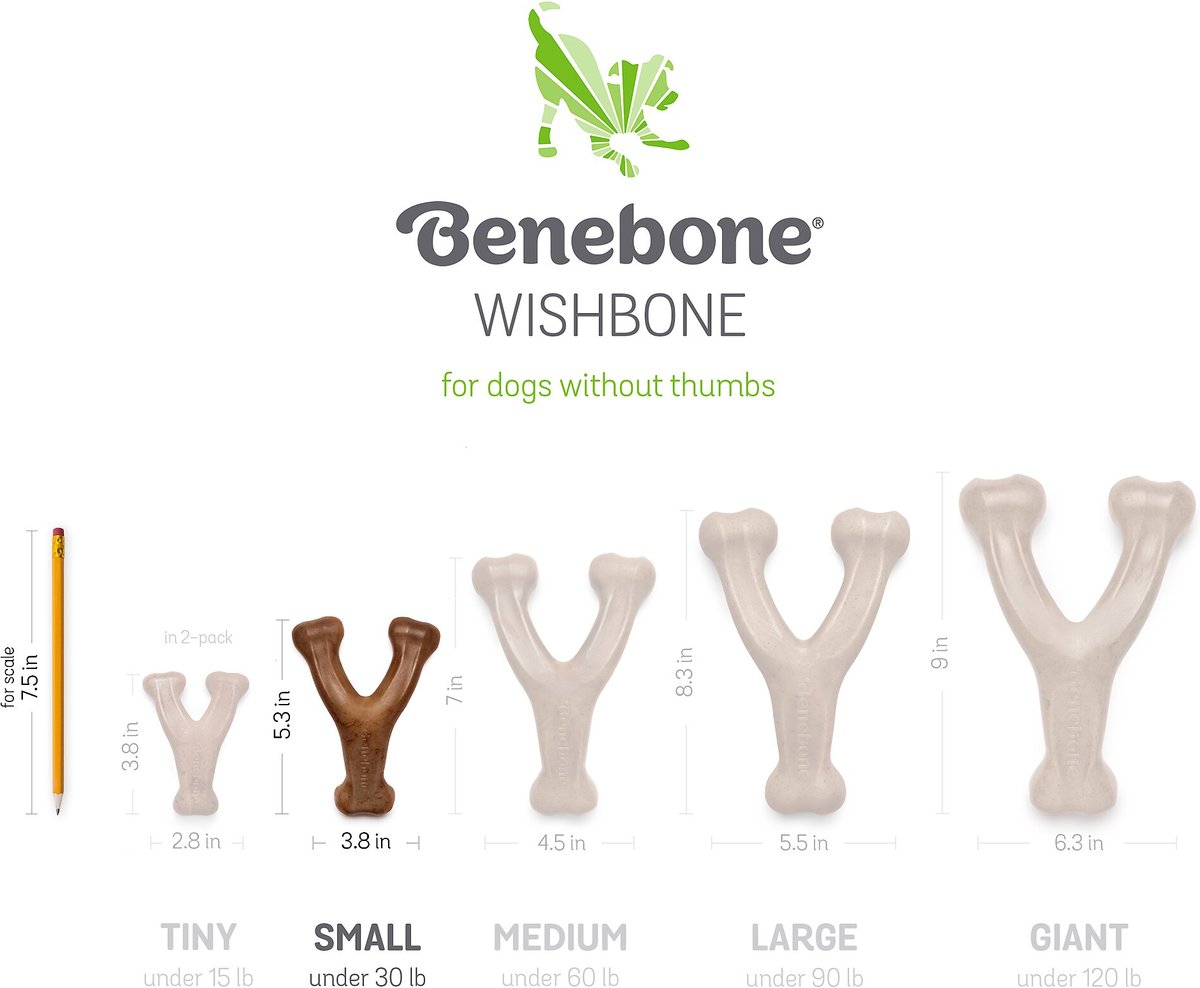 BENEBONE Bacon Flavor Wishbone Tough Dog Chew Toy, Small - Chewy.com