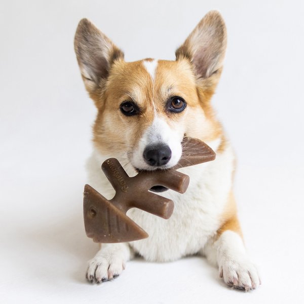 BENEBONE Fishbone Dog Chew Toy, Medium - Chewy.com