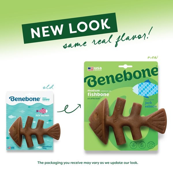 BENEBONE Fishbone Dog Chew Toy, Medium - Chewy.com
