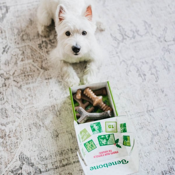 BENEBONE Multipack Durable Dog Chew Toy, 4 count, Small - Chewy.com