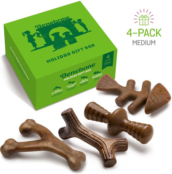 BENEBONE Multipack Durable Dog Chew Toy, 4 count - Chewy.com