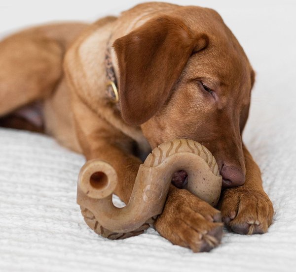 BENEBONE Tripe Bone Tough Dog Chew Toy, Brown, Small - Chewy.com