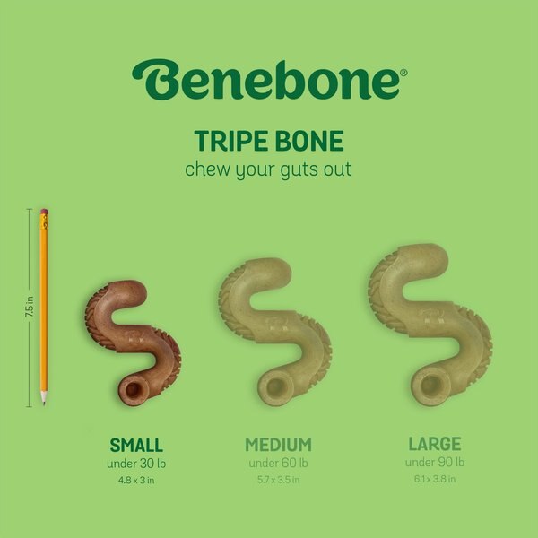 BENEBONE Tripe Bone Tough Dog Chew Toy, Brown, Small - Chewy.com