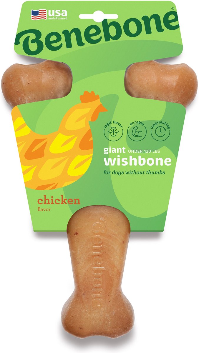 BENEBONE Wishbone Chicken Flavor Chew Dog Toy - Chewy.com