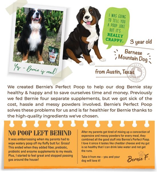 BERNIE'S Perfect Poop Chicken Flavor Digestion Support Dog Supplement ...