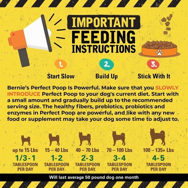 BERNIE'S Perfect Poop Chicken Flavor Digestion Support Dog Supplement ...