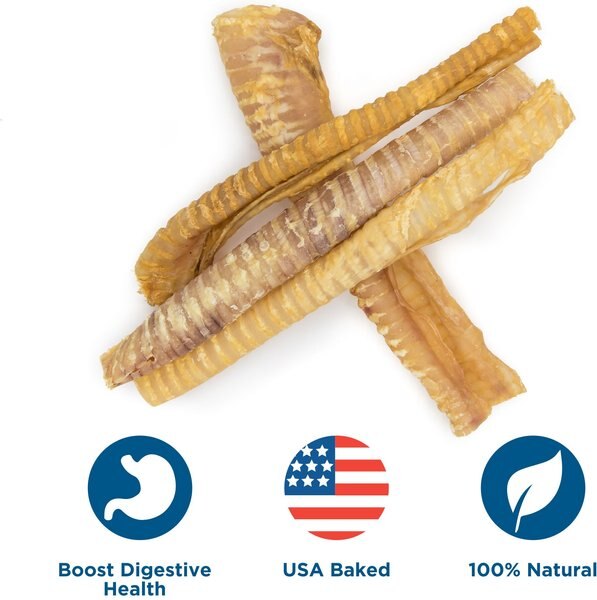 BEST BULLY STICKS 12" Beef Trachea Dog Treat, 12 count - Chewy.com