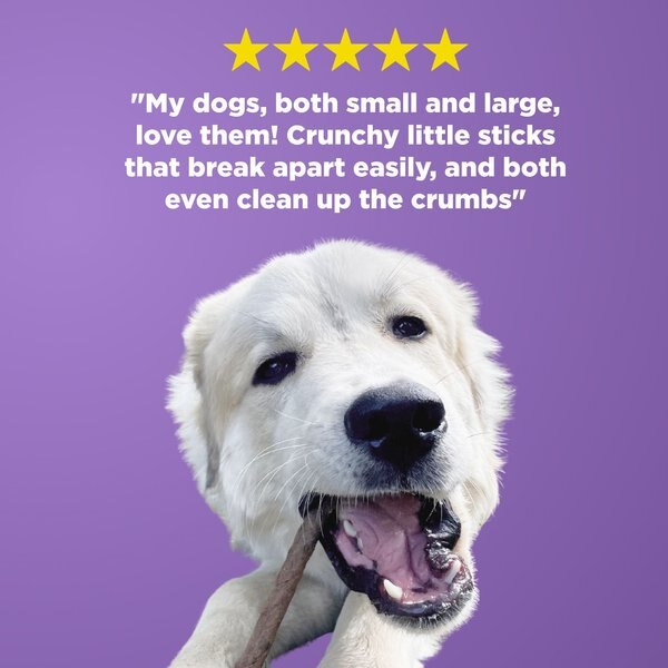 BEST BULLY STICKS Bully Snap Sticks Dog Treats, 10 count - Chewy.com