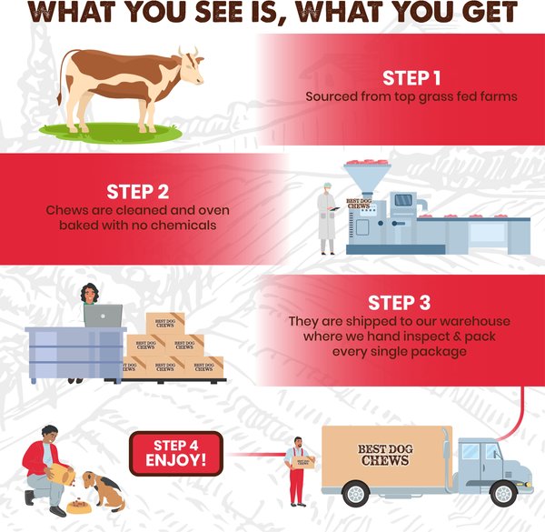 BEST DOG CHEWS Bladder Sticks Beef Flavored 6-in Dog Chews, 12 count ...