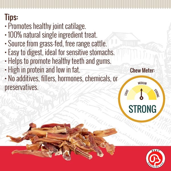 BEST DOG CHEWS Bully Bites 2 to 4-in Dog Treats, 8-oz bag - Chewy.com