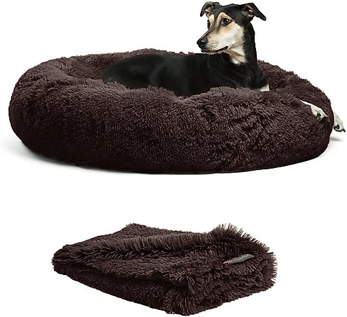BEST FRIENDS BY SHERI DOG BEDS (Free Shipping) | Chewy