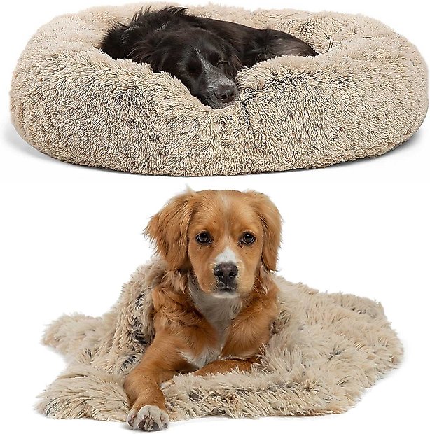 BEST FRIENDS BY SHERI DOG BEDS (Free Shipping) | Chewy