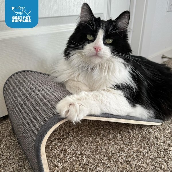 BEST PET SUPPLIES Catify Sloped Sisal Cat Scratcher, Gray - Chewy.com