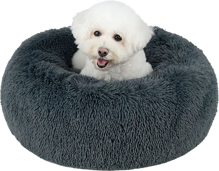 Best Pet Supplies for Dogs - Free shipping | Chewy
