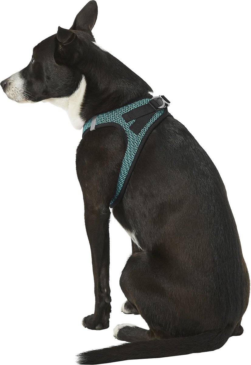 BEST PET SUPPLIES Voyager All Season Mesh Dog Harness, Turquoise, Large ...