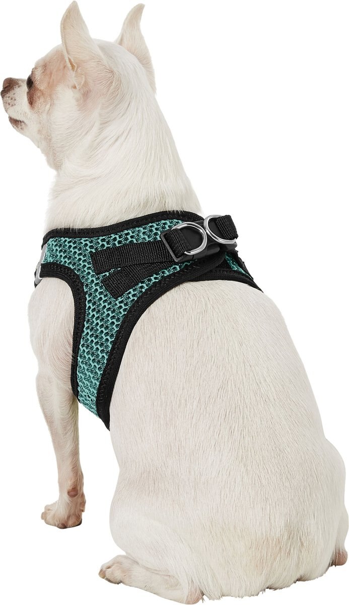 BEST PET SUPPLIES Voyager All Season Mesh Dog Harness, Turquoise, X ...