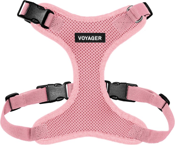 PINK DOG HARNESSES (Free Shipping) | Chewy