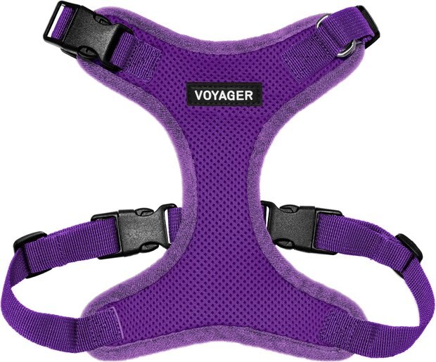 PURPLE DOG HARNESSES (Free Shipping) | Chewy