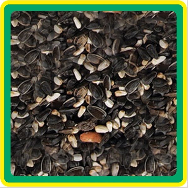 BETTER BIRD Cardinal Bird Food, 4-lb bag - Chewy.com