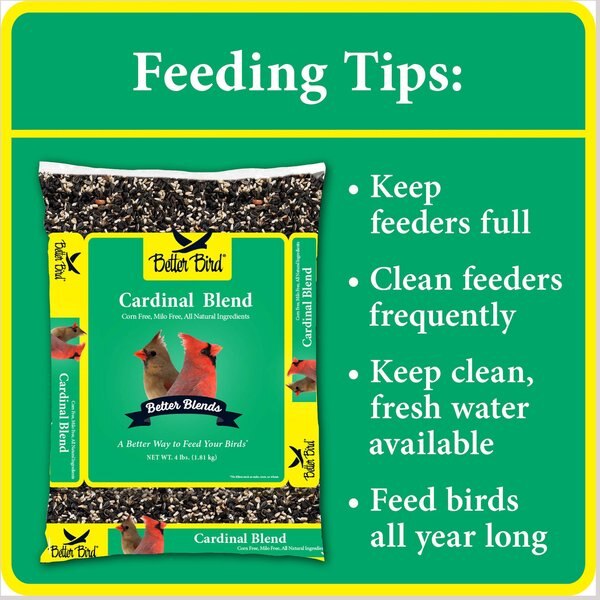 BETTER BIRD Cardinal Bird Food, 4-lb bag - Chewy.com