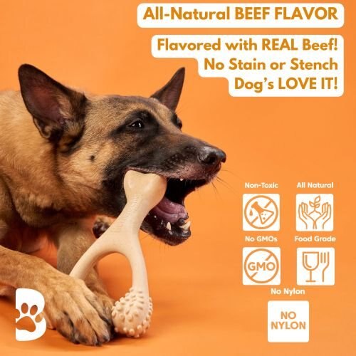 BETTERBONE Hard Beef Dog Toy, Natural, Large - Chewy.com